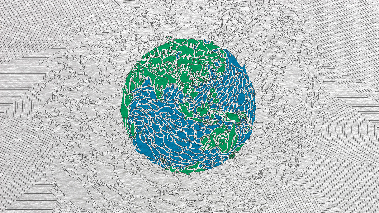 How businesses can help prevent the 'sixth extinction'