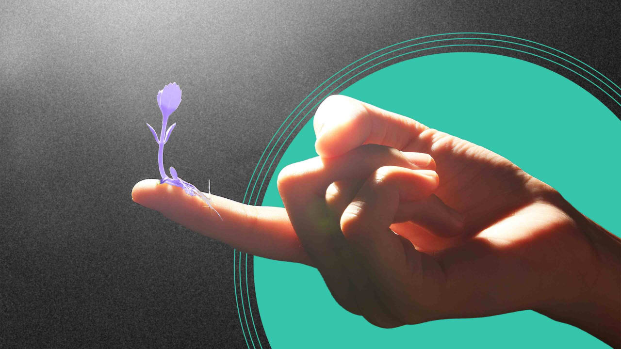 The resolution revolution: Personal growth resolutions for every type