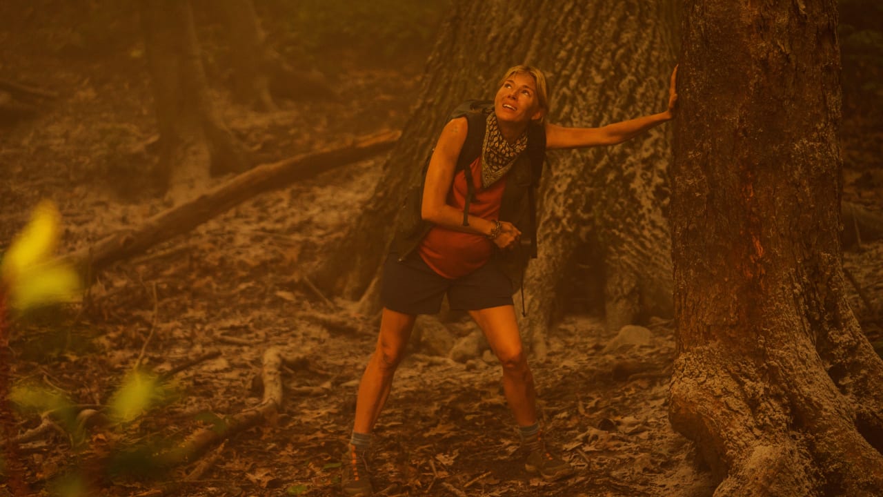 Why Hollywood is finally tackling climate change onscreen