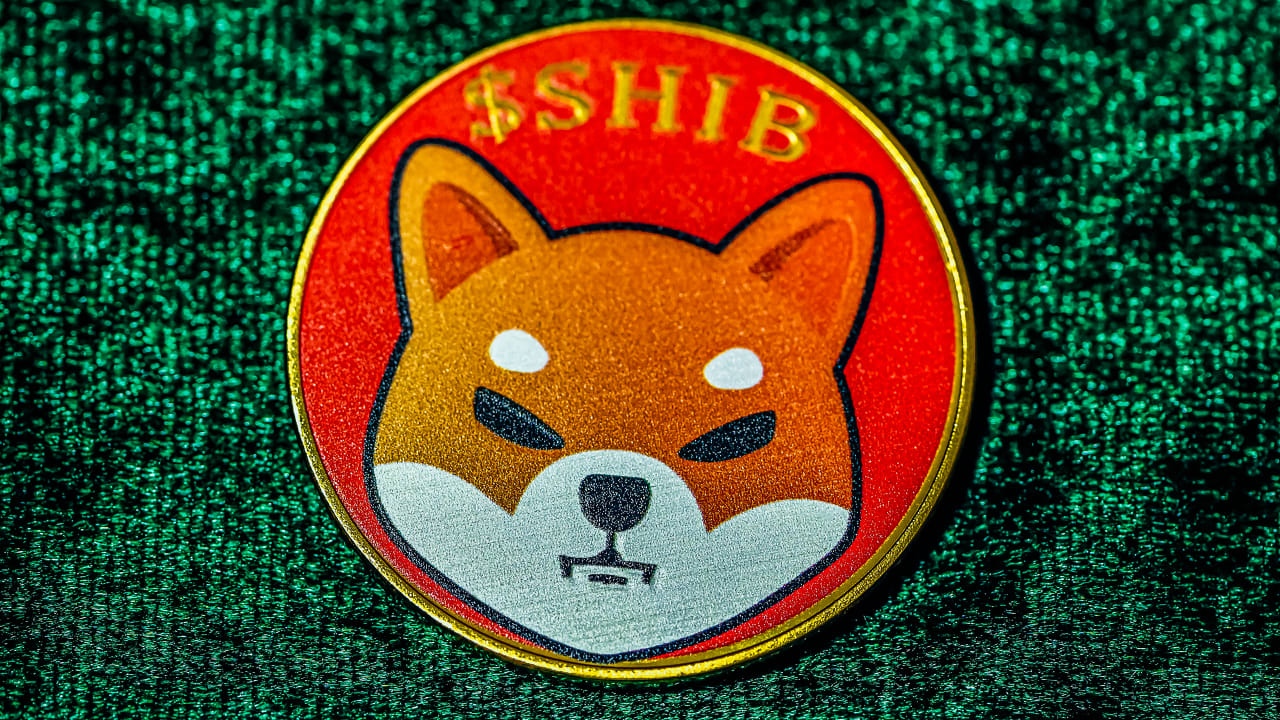 Why is Shiba Inu going up? SHIB coin rallies in crypto comeback