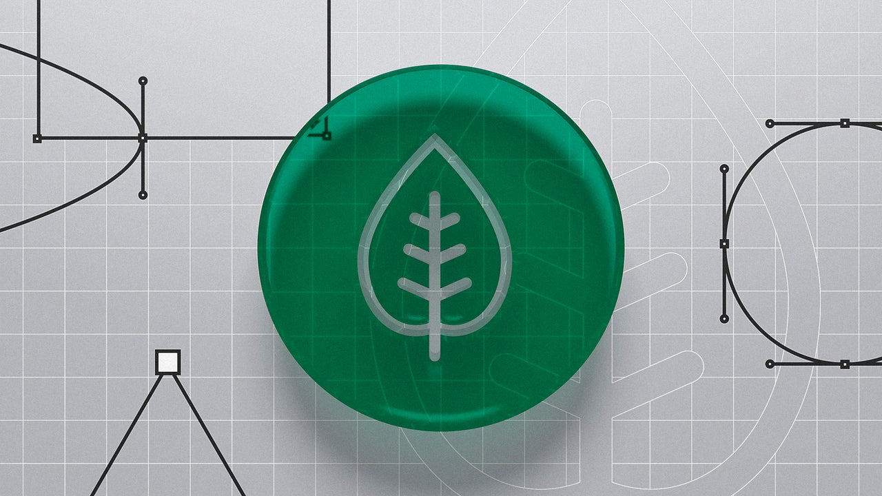 World Changing Ideas Awards 2023: Nature finalists and honorable menti