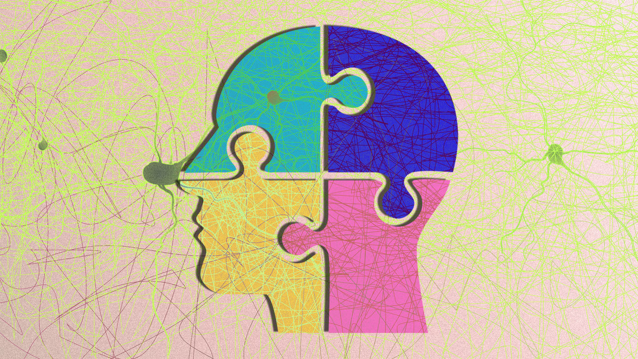 Human Brain Project: A success for neuroscience collaboration Human Brain Project: A success for neuroscience collaboration