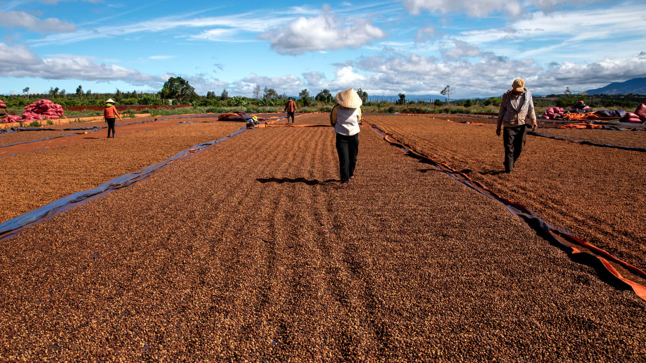 Vietnam Coffee