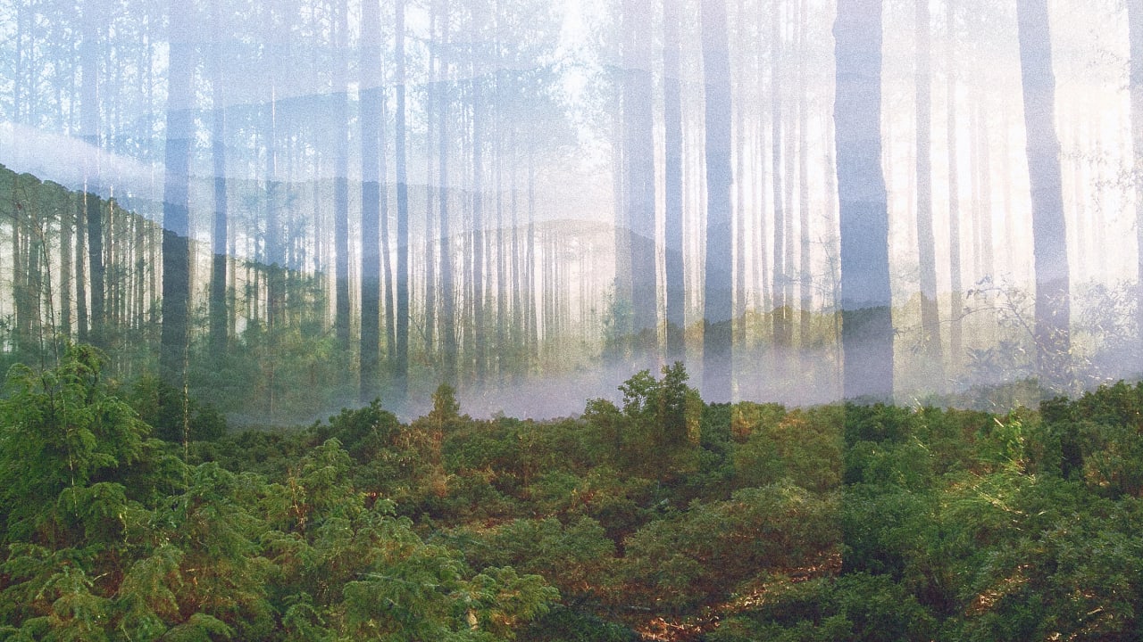 Inside a controversial new plan to manage 300 million acres of family-