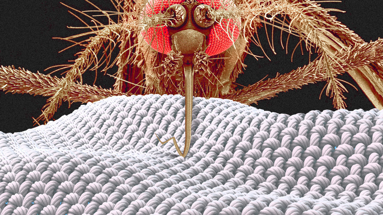 This Fabric Was Designed To Block Mosquito Bites