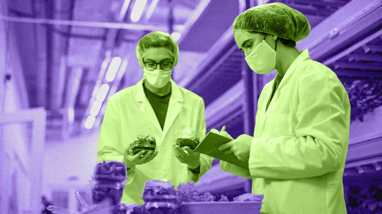 4 challenges impacting food production efficiency (and how to solve th