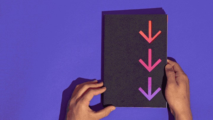 The CDR Primer is a science book disguised as an art book