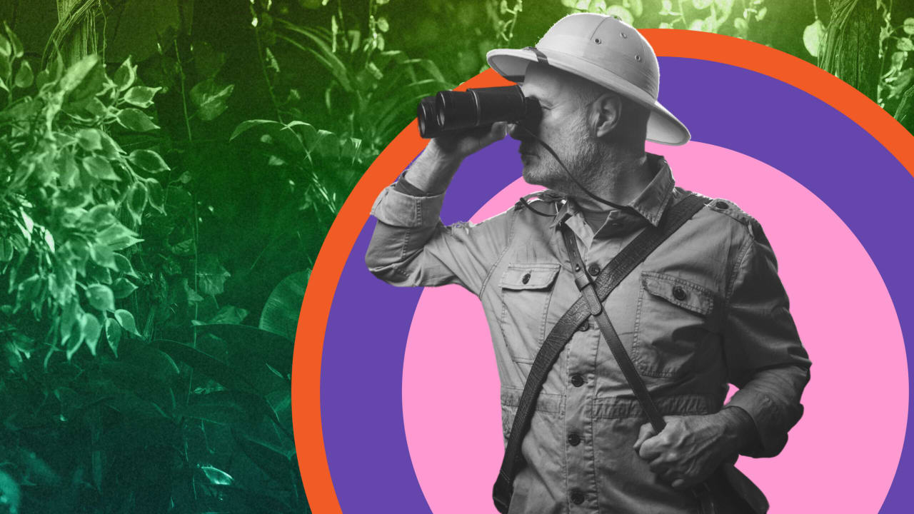 Navigating the jungle beyond the glass cliff: Part I Navigating the jungle beyond the glass cliff: Part I