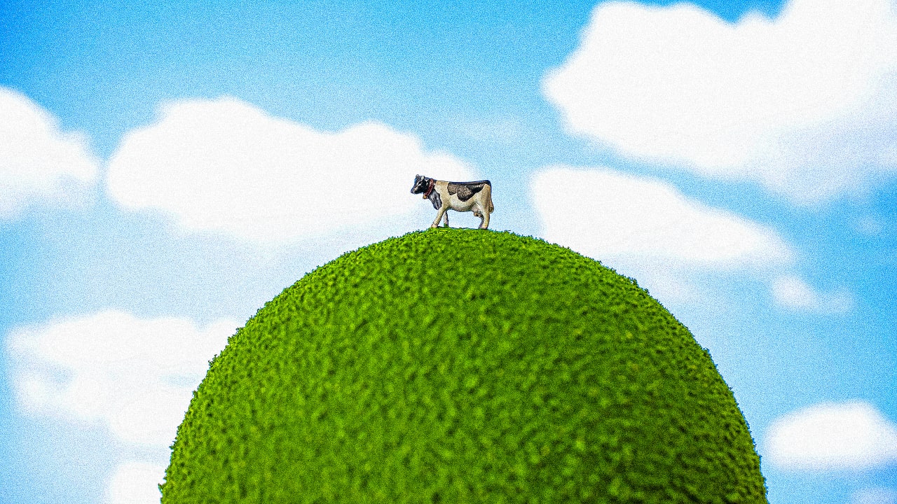 Biden's agriculture climate plan is great for farmers, not the planet