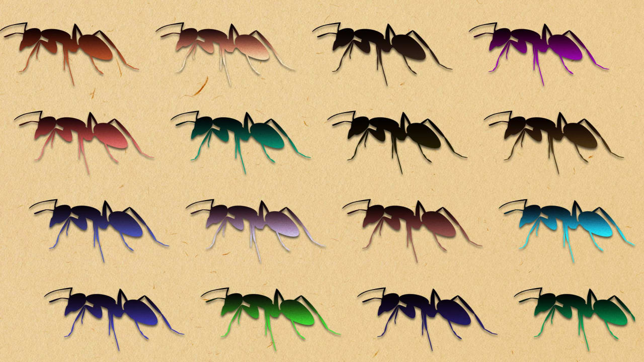 What we can learn from ants about reframing anxiety