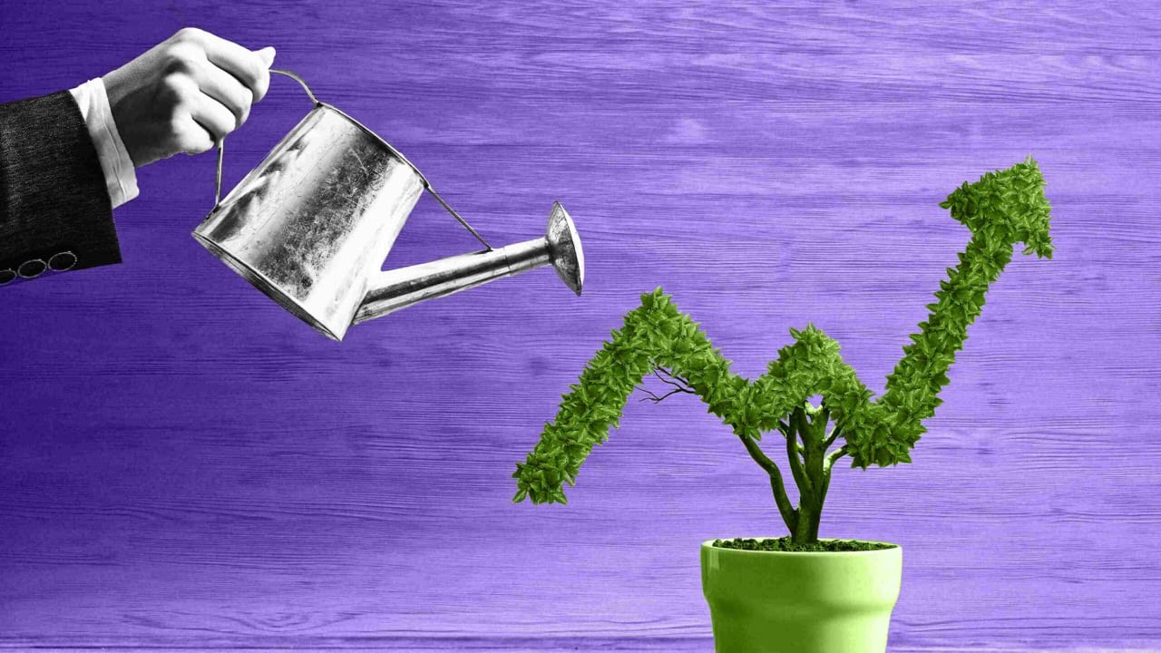 Why business leaders should prioritize organic growth strategies Why business leaders should prioritize organic growth strategies
