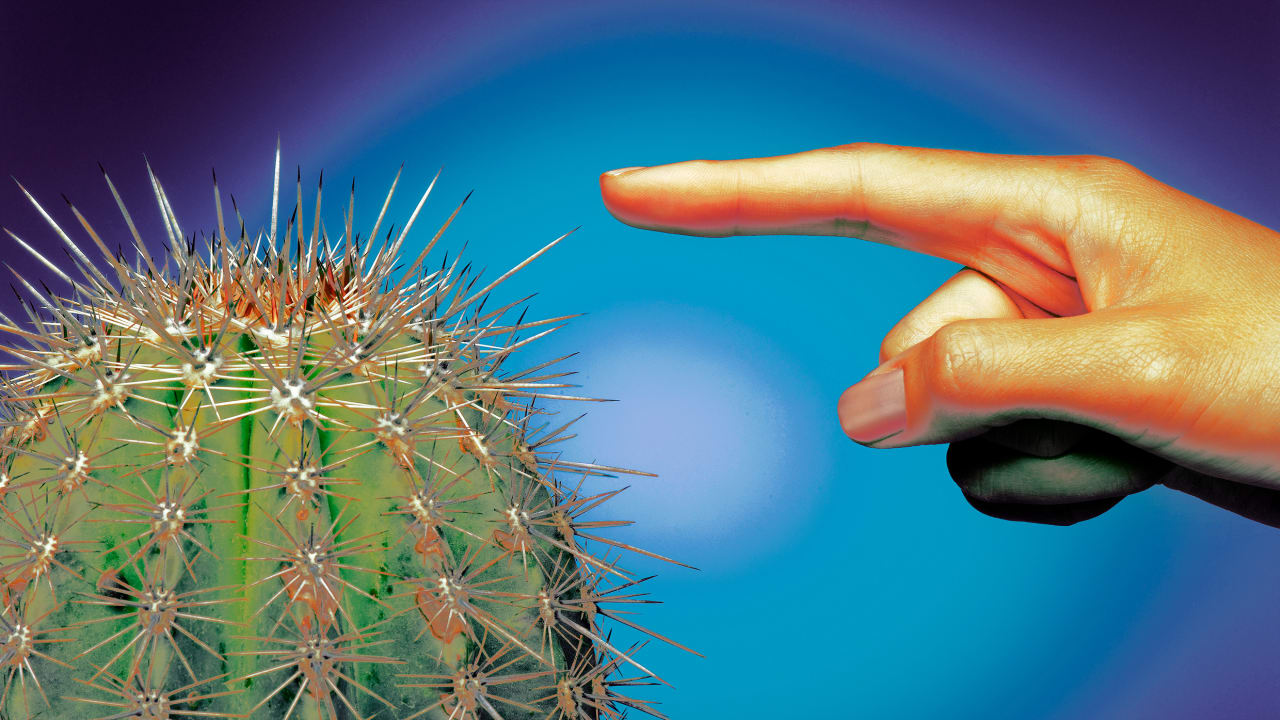 Mindset to turn pain into progress