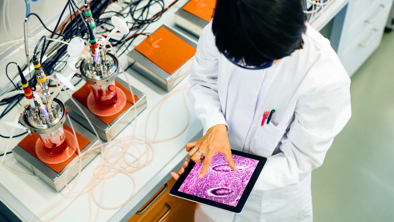 The rapidly accelerating technology space can be used for good