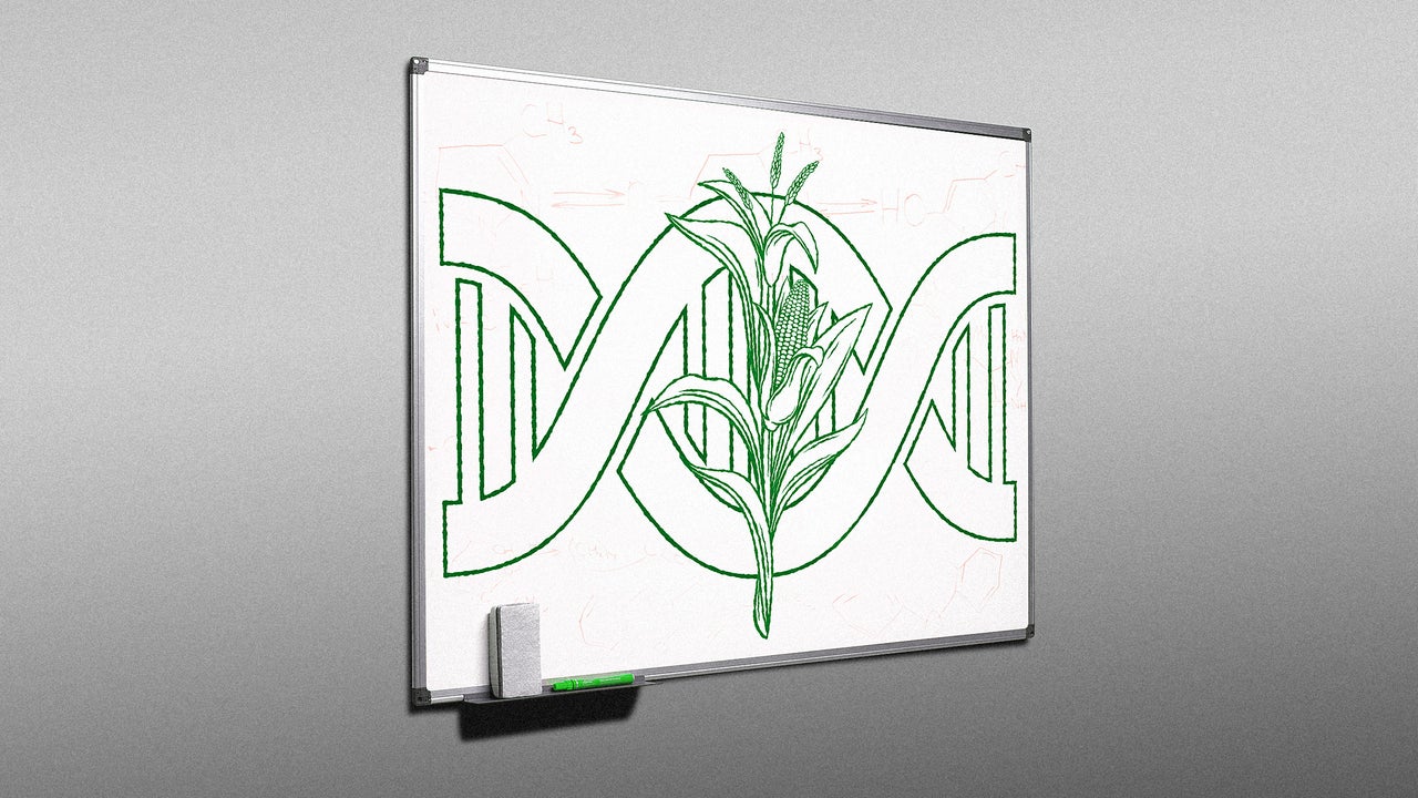 Climate change means we need to get over fears about gene-editing plan
