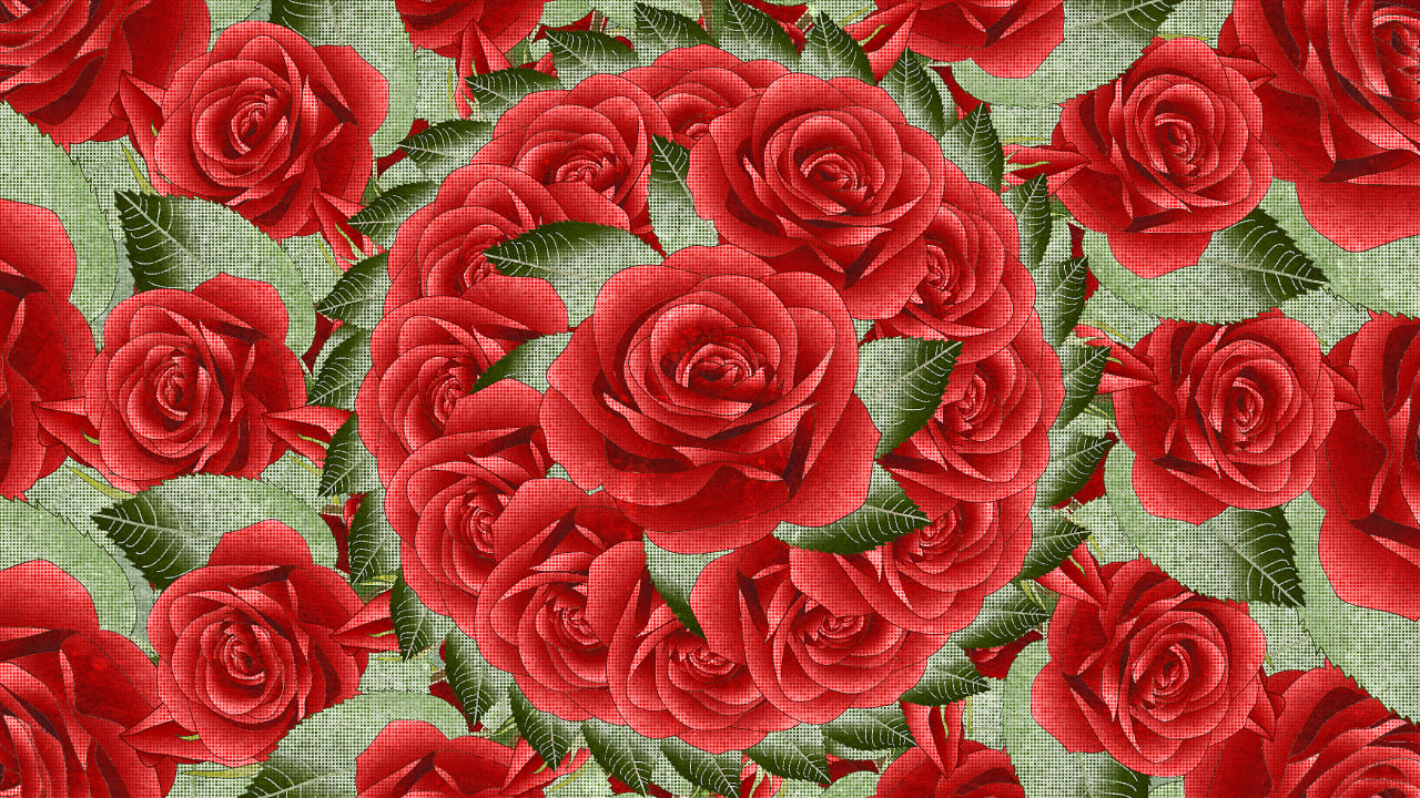 How Valentines Day roses became a booming business