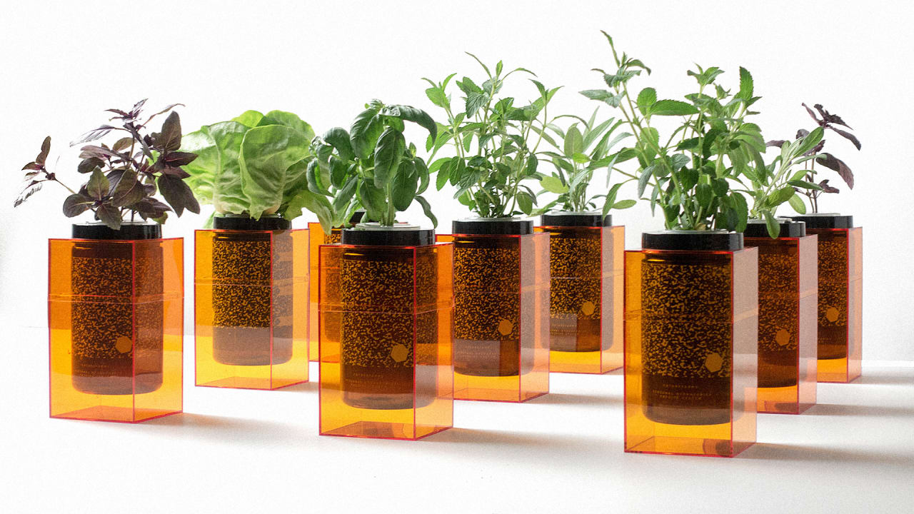 Grow Hydroponic Crops On Your Desk With These NASA-Inspired Planters