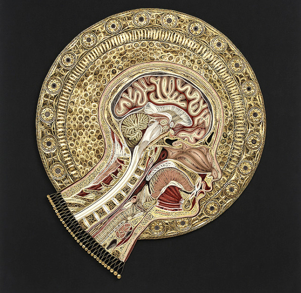 See Amazing Recreations Of Your Internal Organs Made Out Of Paper