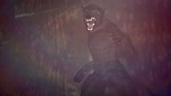 Wampus Cat, Grassman And The Other Bizarre Creatures of “Mountain Mons