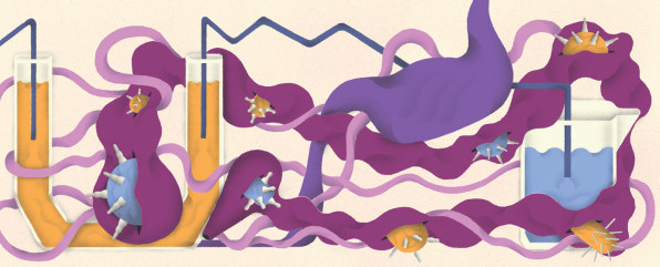 What’s Lurking In Your Microbiome? Possibly, A Cure For Disease
