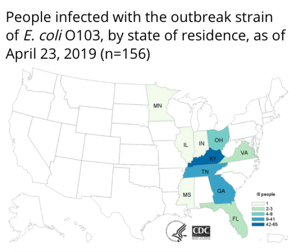 E. coli outbreak: What the CDC says about the 10-state ground beef rec
