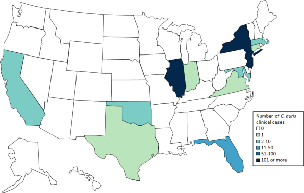 Candida auris: CDC maps show mysterious fungus spreading in states and