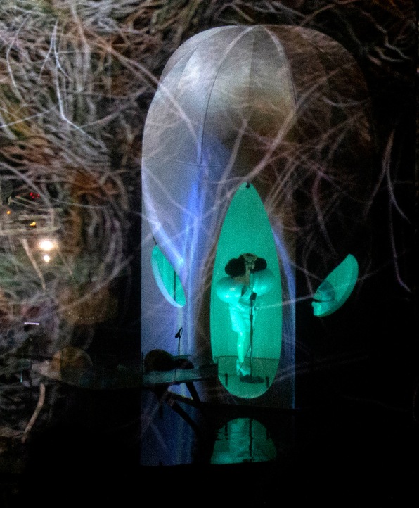 Björk performs her latest concert inside this high-tech cocoon