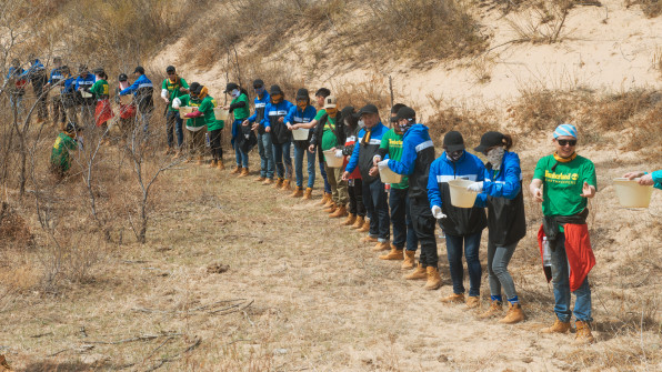 Timberland is planting 50 million trees