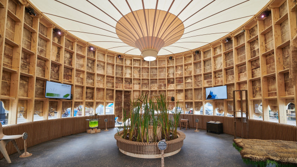 This mushroom building cleans our air as it grows