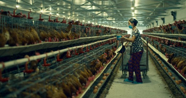 With the coronavirus outbreak, the Netflix doc 'Pandemic' is must-see