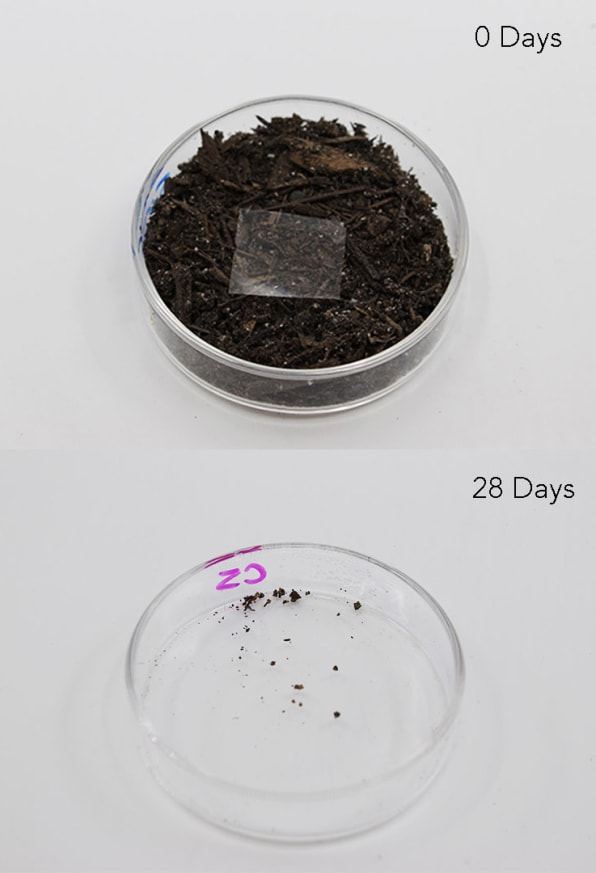 This compostable packaging senses if your food has gone bad