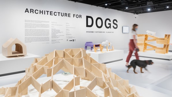 A new architecture for dogs exhibit has blueprints to build your very