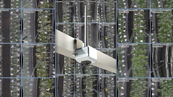 The best data design of 2020