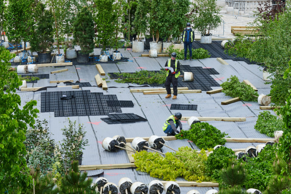 How to build an urban forest from scratch