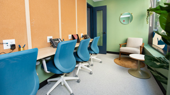 Interior design for pets is a thing—just ask this Brooklyn vet