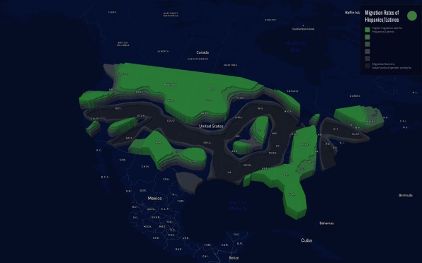 The best data design of 2021