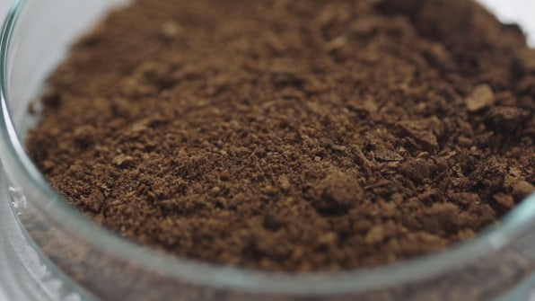 In Finland, scientists are growing coffee in bioreactors
