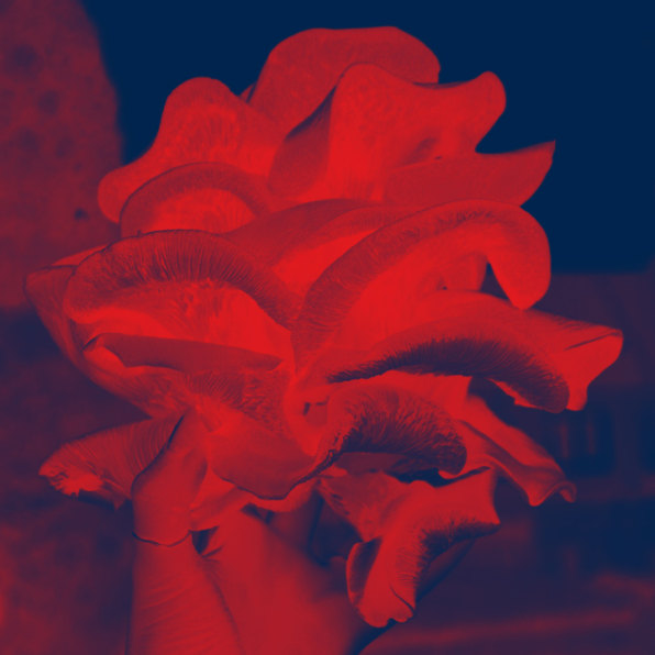 This machine turns human poop into fertile soil