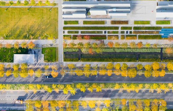 Xuhui Runway Park: an airport runway turned into a gorgeous park