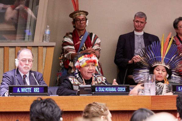 $1.7 billion pledge to help Indigenous communities protect tropical fo