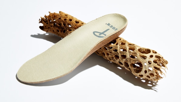 The family behind Timberland launches a sustainable competitor