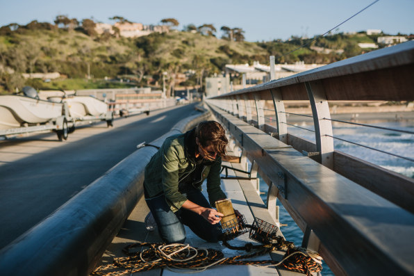 Lenzing's wood-based fibers biodegrade in the ocean