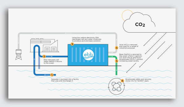 Ebb Carbon uses the ocean to capture carbon—and fight acidification
