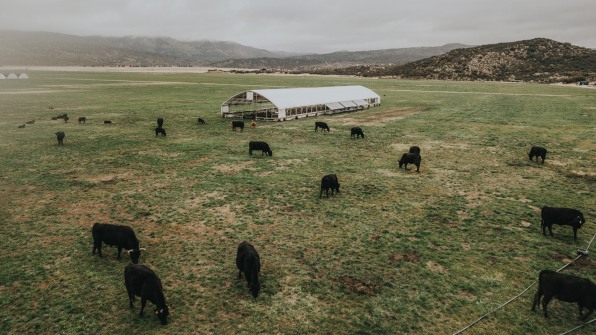 Perdue's solar-powered chicken coop rolls on wheels