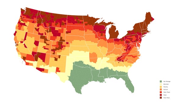When will the leaves change? 2022 fall foliage map shows you