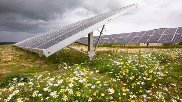 Solar farms may have a secret benefit