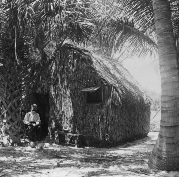 The complicated history of Florida's population growth—despite a wildl