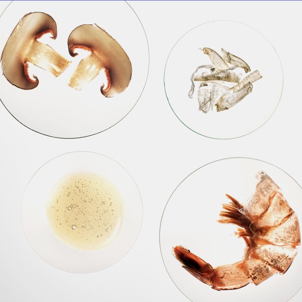 TômTex's fabric looks like leather — but it’s made from shrimp shells