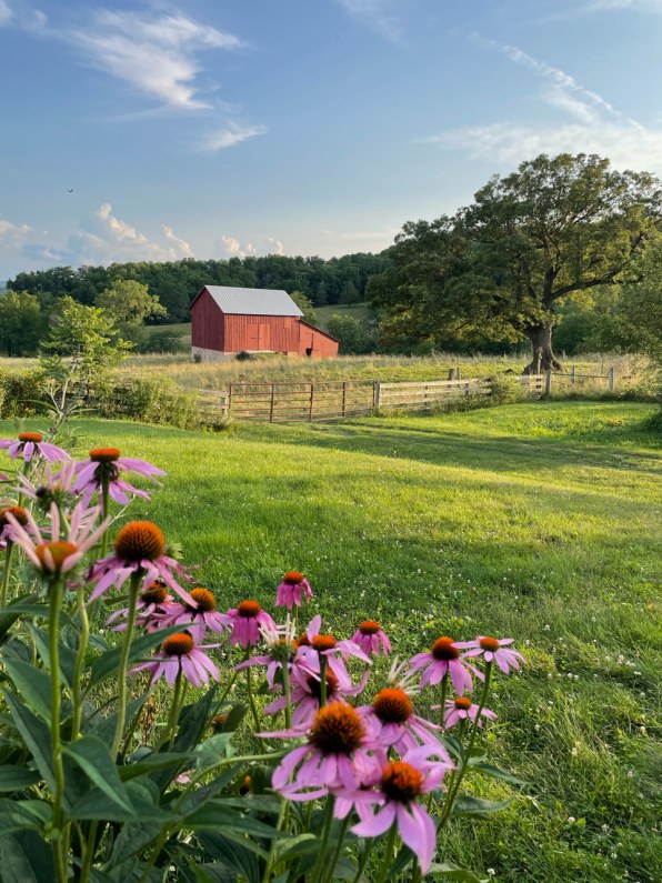 What is regenerative agriculture and is it legitimate?