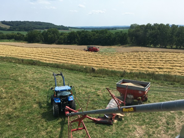 What is regenerative agriculture and is it legitimate?