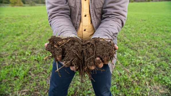 What is regenerative agriculture and is it legitimate?